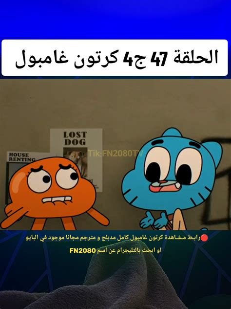 غامبول الجزء الجديد 2025 مضحكات مغامرات جديدة Tiktok