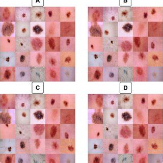 Data Augmentation Illustration Of How Data Augmentation Algorithm Download Scientific Diagram