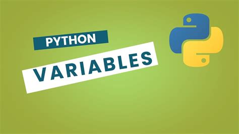 Python Variables Explained How To Declare And Check Data Type Youtube