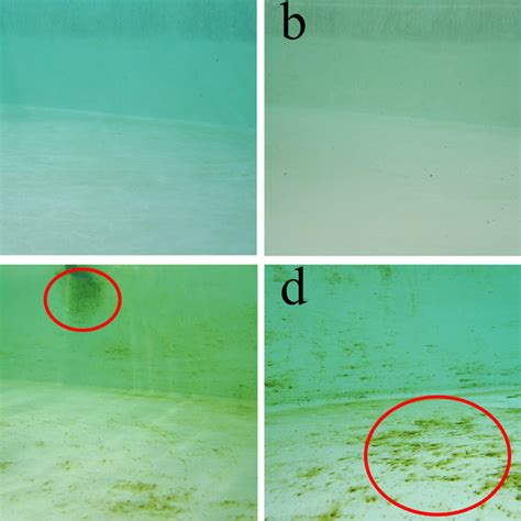 Different Non Learning Based Underwater Object Detection Techniques Download Scientific Diagram