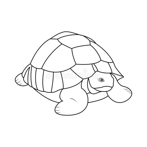 Tortoise Clip Art Black And White Premium Vector Black And White