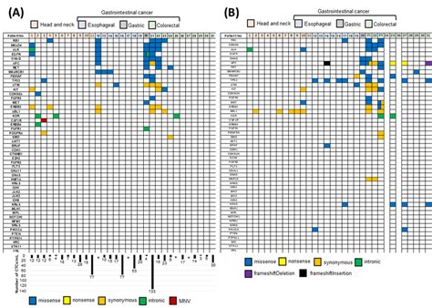 Combined Analysis Of Genomic Alterations In Circulating Tumor Cells