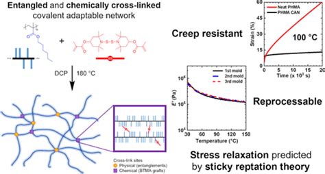 Covalent Adaptable Networks Made By Reactive Processing Of Highly