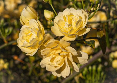 Freddie Bailey Freddie Bailey Added A New Photo