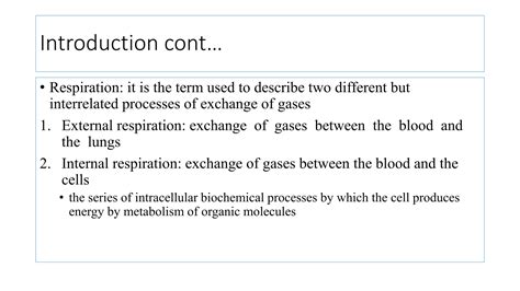 Anatomy Of Rspiratory System 2022ppt