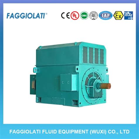 High Voltage Slip Ring Three Phase Asynchronous Induction Ac Motor Ac