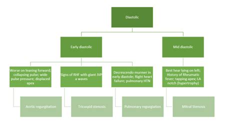 evaluating cardiac murmurs notes on medicine surgery