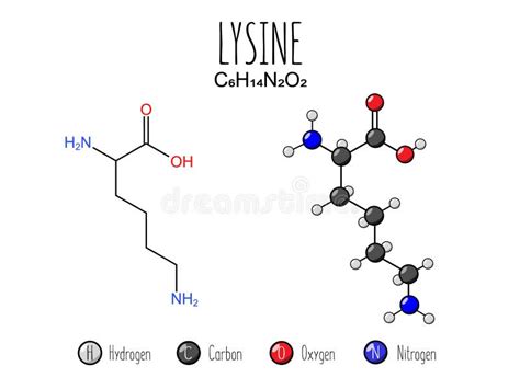 Lysine Amino Acid Structure