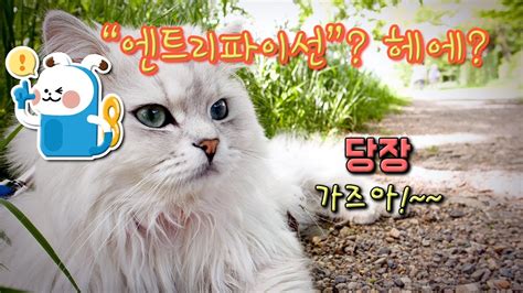 엔트리파이선 V00 엔트리파이선기초 Part1 코딩빈의 초등코딩 Youtube