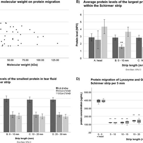 The Influence Of The Molecular Weight On Protein Migration Over Tear