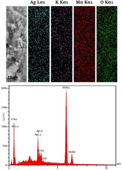 Mapping Analysis Of Ag Oms 2 Up Along With The Corresponding Edsx