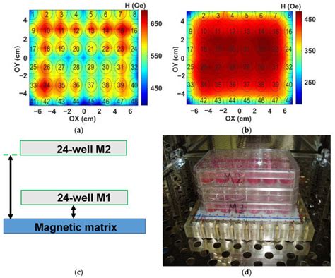 Biosensors An Open Access Journal From Mdpi