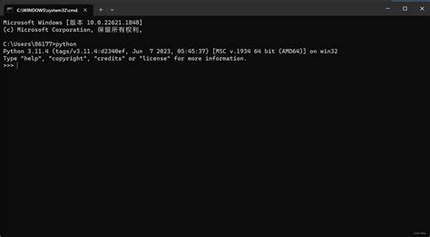 python解释器 python3 11 4解释器 csdn博客