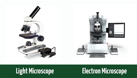 Light Vs Electron Microscope Whats The Difference With Pictures