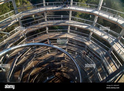 Wicklow Ireland January 2nd 2023 Inside The Treetop Walk Viewing Tower At Avondale Stock