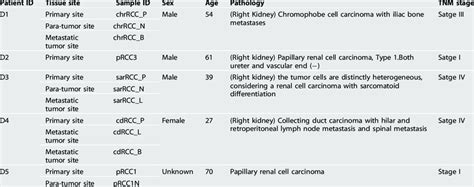 Pathologic And Clinical Information Of X Genomics Sequencing Samples Download Scientific