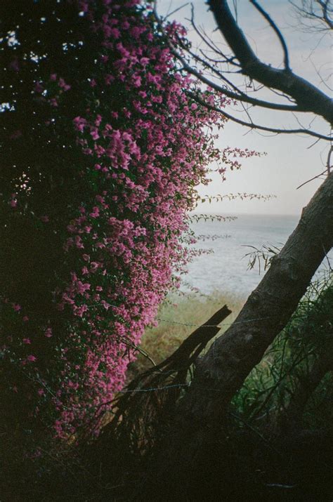 André Josselin × Gil Wie Wird Man Ambassador Jxg