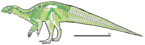 Dinosaur Iani Prehistoric Pedia