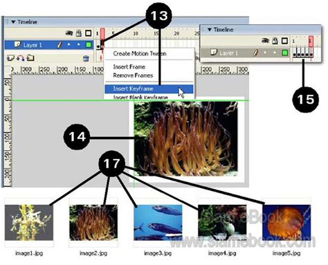 แสดงภาพแบบสไลด์โชว์ด้วย Flash Mx 2004