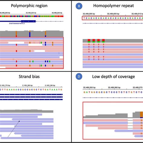 Common Examples Where Variant Calling May Prove Erroneous Forward