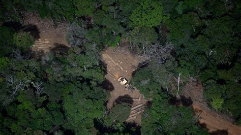 Deel Amazonewoud Gekapt Voor Aanleg Snelweg Richting Klimaattop In Brazilië Vrt Nws Nieuws