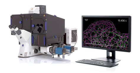 Zeiss Microscopy Superresolution Elyra7 Zeiss Microscopy
