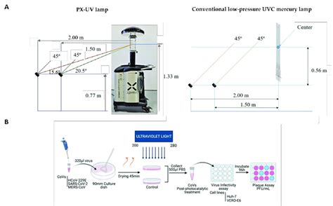 Schematic Representation Of The Experimental Conditions A The UV Download Scientific Diagram