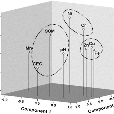Principal Component Analysis Loading Plots For The Three Rotated Components Download