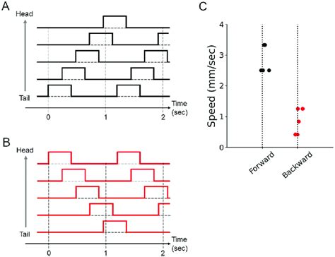 Forward And Backward Crawling In The Soft Robot A And B Control