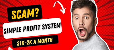 Travis Stephenson Simple Profit System Rlearnwithanie