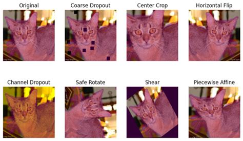 Efficient Image Segmentation Using Pytorch Part 1 Towards Data Science