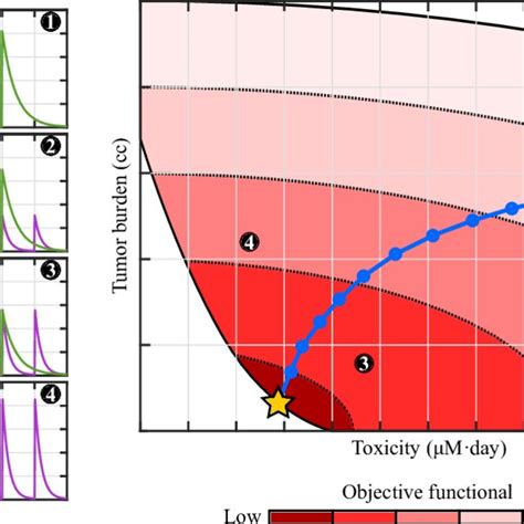 Optimal Control Theory Enables The Design Of Personalized Cancer