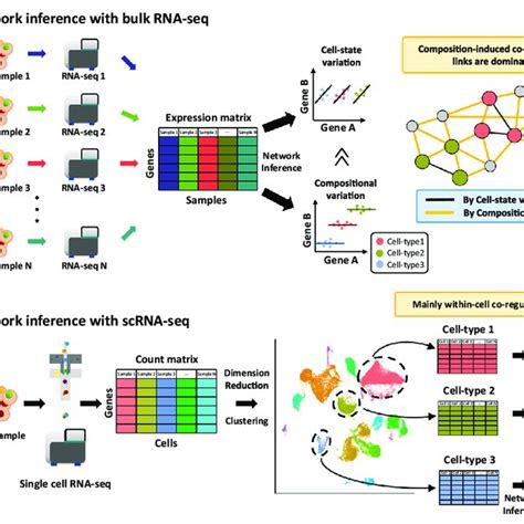 comparison between network inference with bulk rna seq and scrna seq a