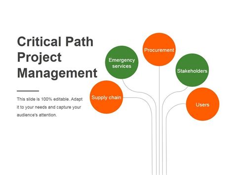Critical Path Project Management Ppt Powerpoint Presentation Rules