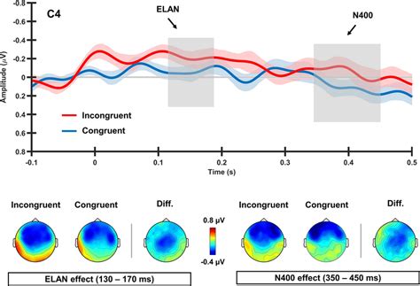 Averaged Erp Waveforms And Topographic Maps For Congruent And Download Scientific Diagram