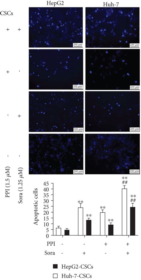 Ppi Suppressed The Differentiation Capability And Promoted The