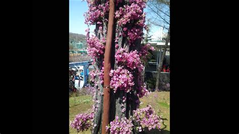 문명진 잠 못 드는 밤에 Youtube Music