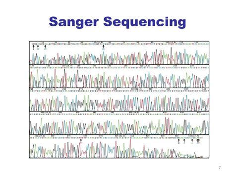 Ppt Next Generation Sequencing Powerpoint Presentation Free Download Id757728