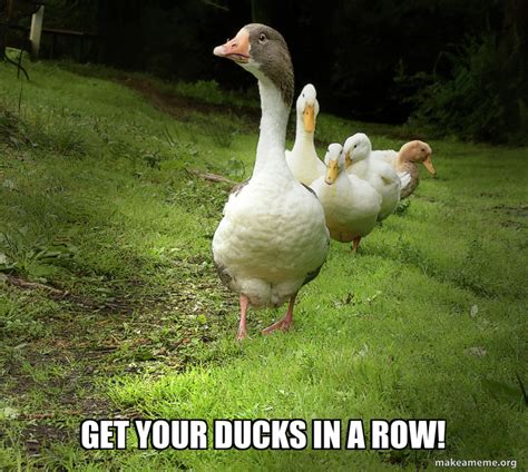 Get Your Ducks In A Row Meme Generator