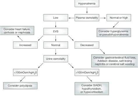 Hyponatremia Flow Chart 4250x3674