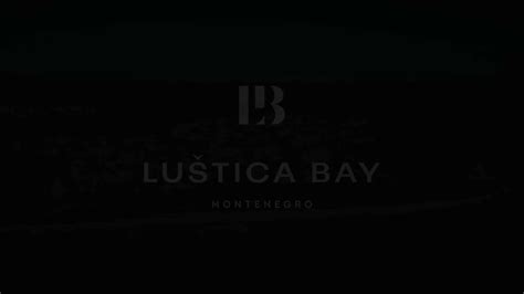 Velibor S On Linkedin Perfect