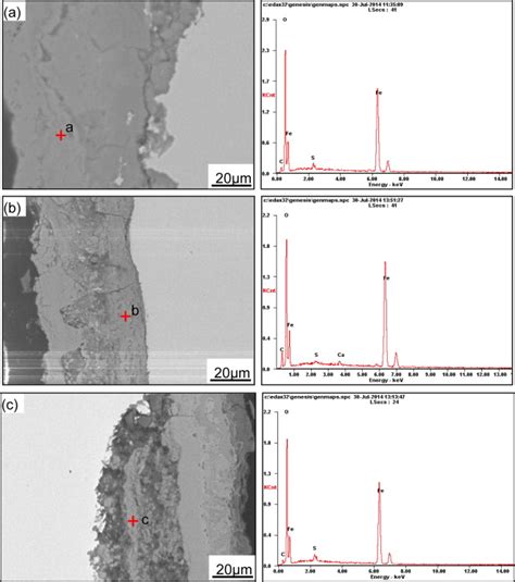 Cross Section Morphologies And Eds Analysis Of Corrosion Products