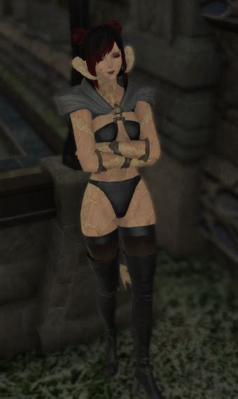 Scene Eorzea Collection