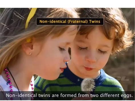 Ovulation To Implantation Pdf