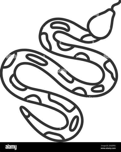 How To Draw A Python Easy