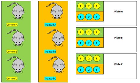 生物学重复是什么？应该怎么设置呢？ 知乎