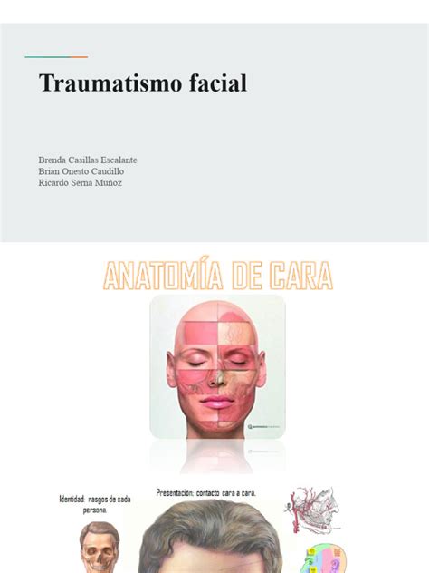 Traumatismo Facial Pdf Anatomía Humana Cabeza Y Cuello Humanos