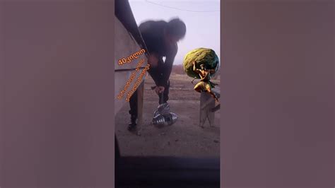 ნარკოტიკების წინაღმდეგ Youtube