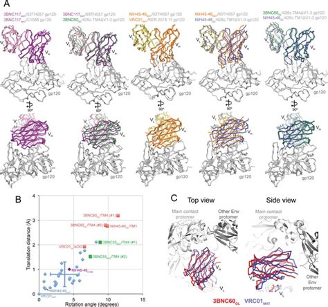 Figures And Data In Structural Basis For Germline Antibody Recognition