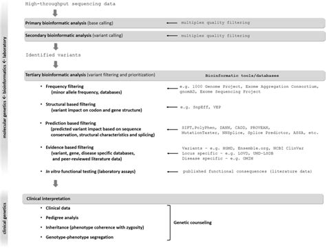 Process Of Molecular Genetic Testing By Ngs From Ngs Data Analysis To Download Scientific